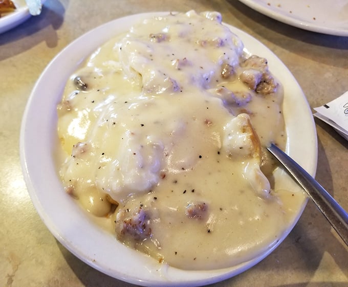 Behold the main event: biscuits drowning gloriously in pepper-speckled gravy that could broker world peace.
