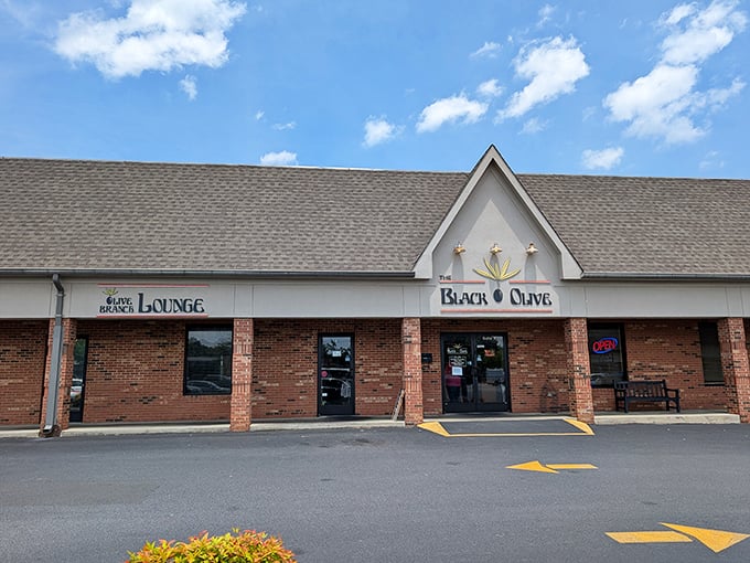 The Black Olive Lounge beckons with promises of Mediterranean flavors and local conversation. Sometimes the best discoveries hide in plain sight.