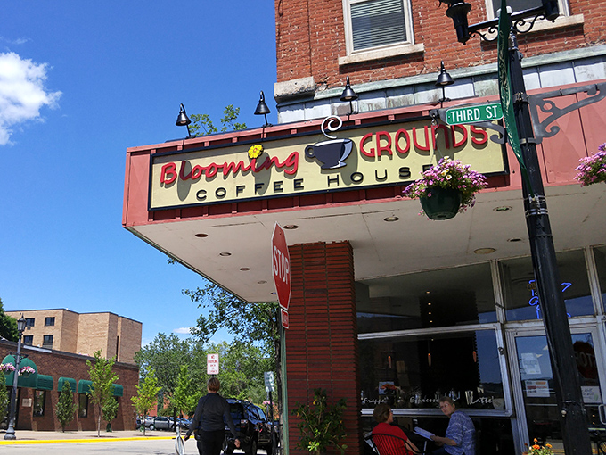 Blooming Grounds Coffee House&mdash;where locals debate whether their pastries or coffee deserve the Oscar for Best Supporting Role in "Morning in Winona."