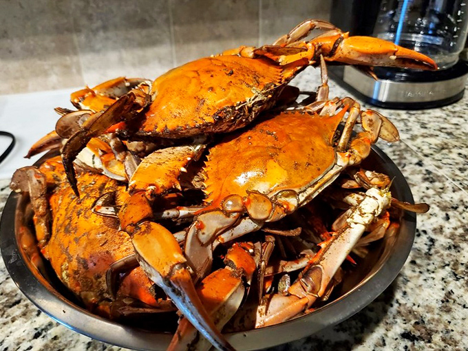 These aren't just crabs; they're edible puzzles waiting to be solved. The Old Bay-crusted treasures that launched a thousand bibs.