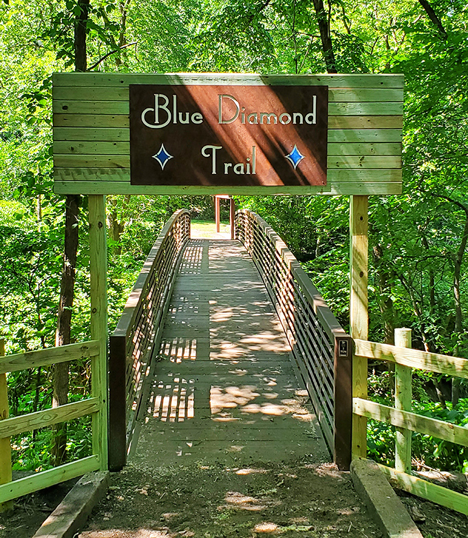 The Blue Diamond Trail: because even hiking paths deserve a little sparkle and personality in their lives.