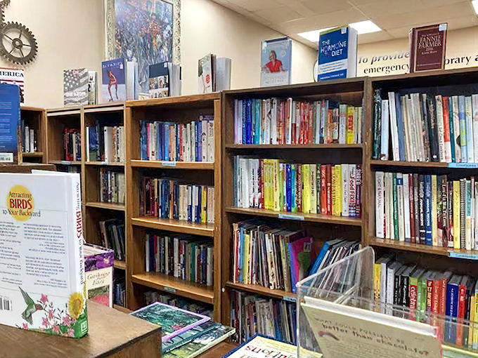 Books lined up like old friends waiting to be rediscovered, each one a portal to somewhere new.