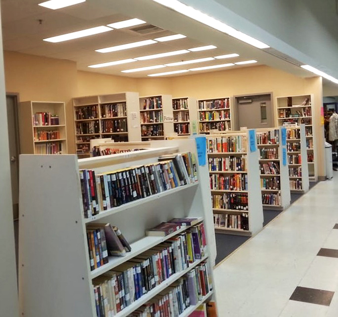 Bookworms rejoice! These shelves hold literary adventures waiting to be rediscovered, from forgotten bestsellers to unexpected gems.