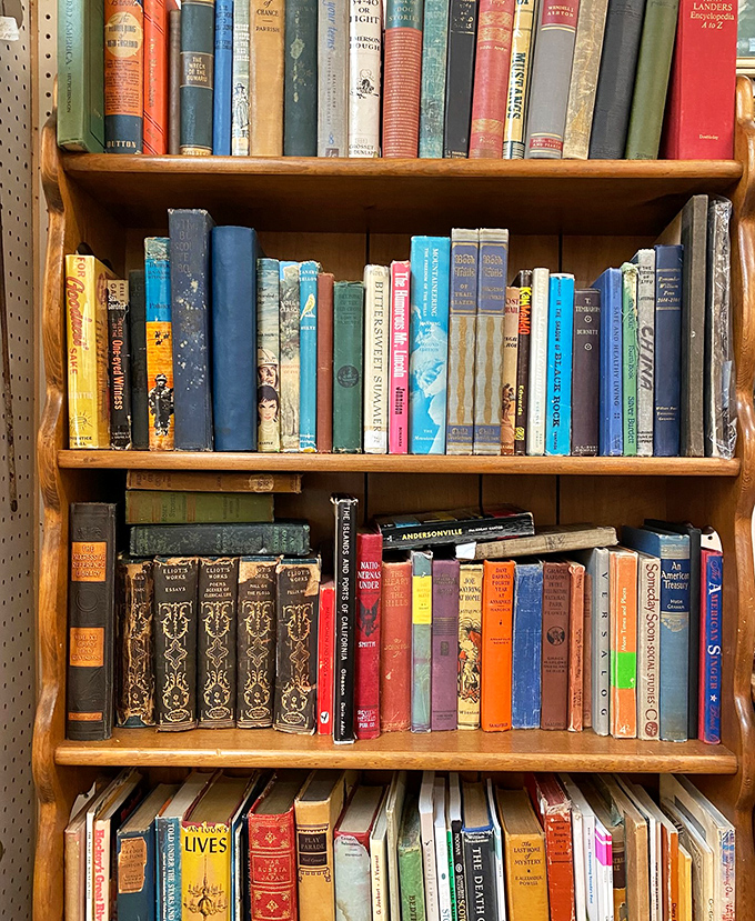 Literary treasures stacked with care. Each spine represents someone's favorite story, now waiting for a new reader to fall in love.
