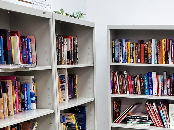 A library's worth of stories waiting on these shelves, each book priced like happiness should be: affordable.