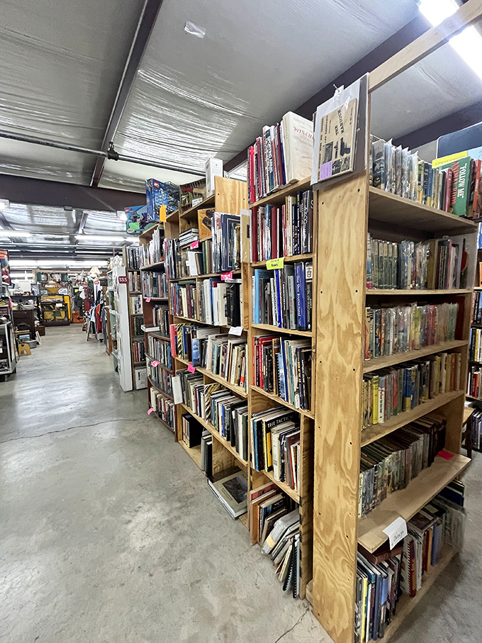 The book section: where time slows down and you suddenly remember you haven't had lunch. These wooden shelves hold stories within stories, both on the pages and in their journey here.