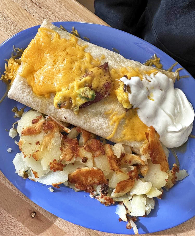 Behold the legendary breakfast burrito in all its glory—cheese melting over the edges, crispy potatoes on the side, and a dollop of sour cream that means business.