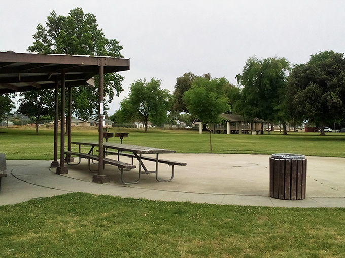 Picnic shelters waiting for family gatherings &ndash; because some of life's best conversations happen over simple meals in unpretentious settings.