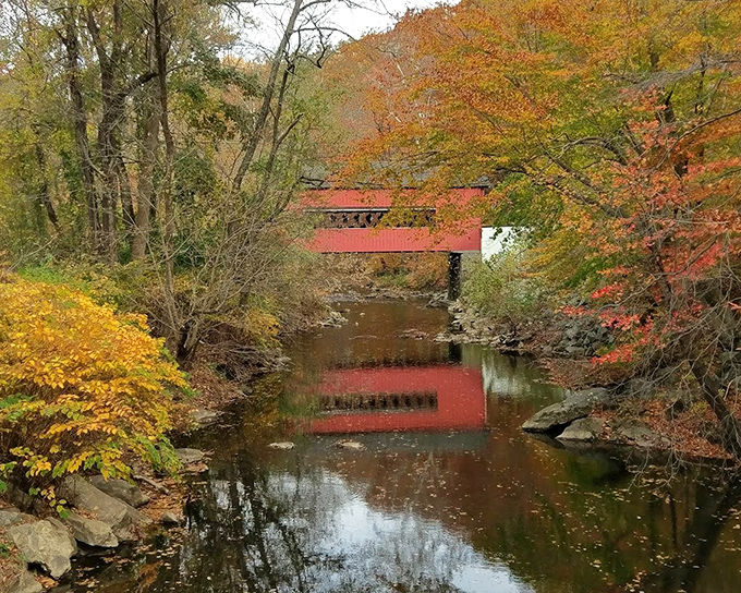 Nature's perfect frame job&mdash;autumn foliage creates a fiery backdrop for the bridge's reflection, doubling the visual delight for lucky visitors.