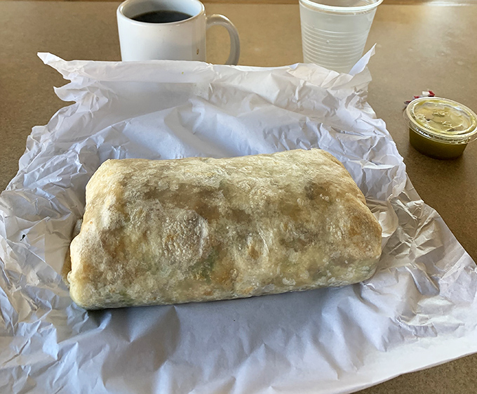 Behold the burrito in all its golden-tortilla glory! This perfectly grilled package contains treasures that would make Indiana Jones abandon his quest for mere artifacts.