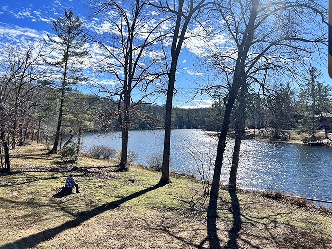 Winter reveals the park's bones&mdash;bare trees standing like sentinels around the lake, reflecting both sky and serenity. 