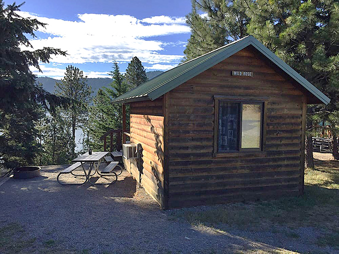 This cozy "Wild Rose" cabin offers lakeside living without the mortgage, proving sometimes the best room service is delivered by songbirds.