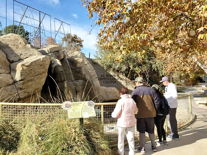 At the California Living Museum, visitors get up close with local wildlife &ndash; proving that not all Bakersfield residents have opposable thumbs.