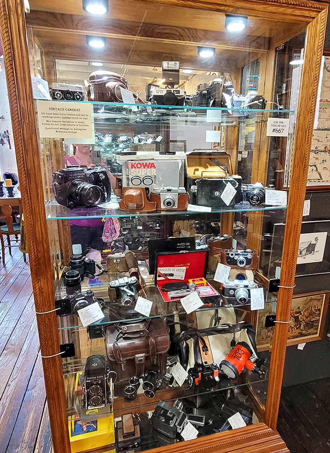 Camera heaven for photography buffs! From Kodak Brownies to that gorgeous Kowa&mdash;each one captured someone's memories before becoming collectible themselves. 