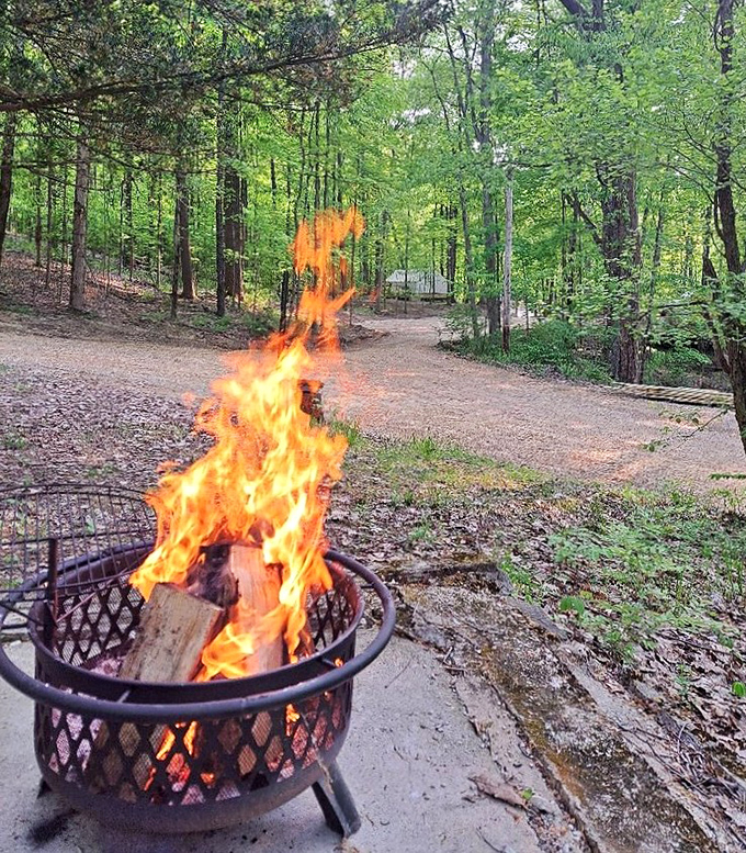 Dancing flames against a backdrop of spring greenery—campfire therapy at its finest. Some problems simply can't survive s'mores and starlight.