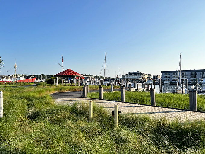 The marina view at Lewes offers the perfect backdrop for contemplating life's big questions, like "Why didn't I move here sooner?" and "Is it too early for happy hour?"