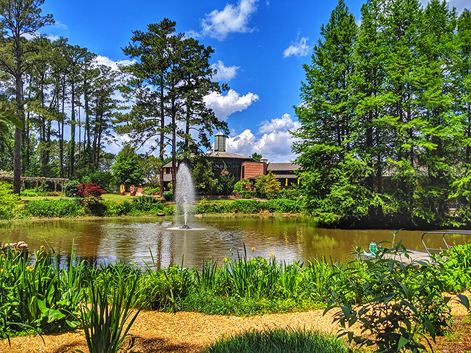 Cape Fear Botanical Garden offers tranquil water features and lush landscapes where retirees can commune with nature without communing with their financial advisor first.