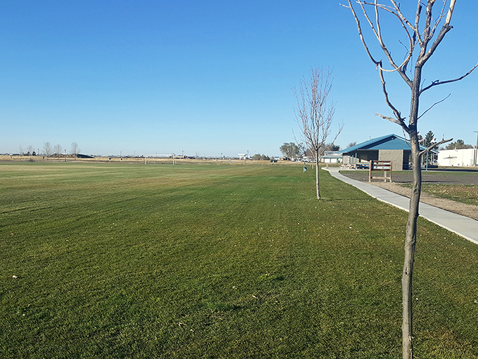 Wide open spaces and young trees promise future shade at this community green space, where Colorado's endless sky reminds you why they call it "colorful."