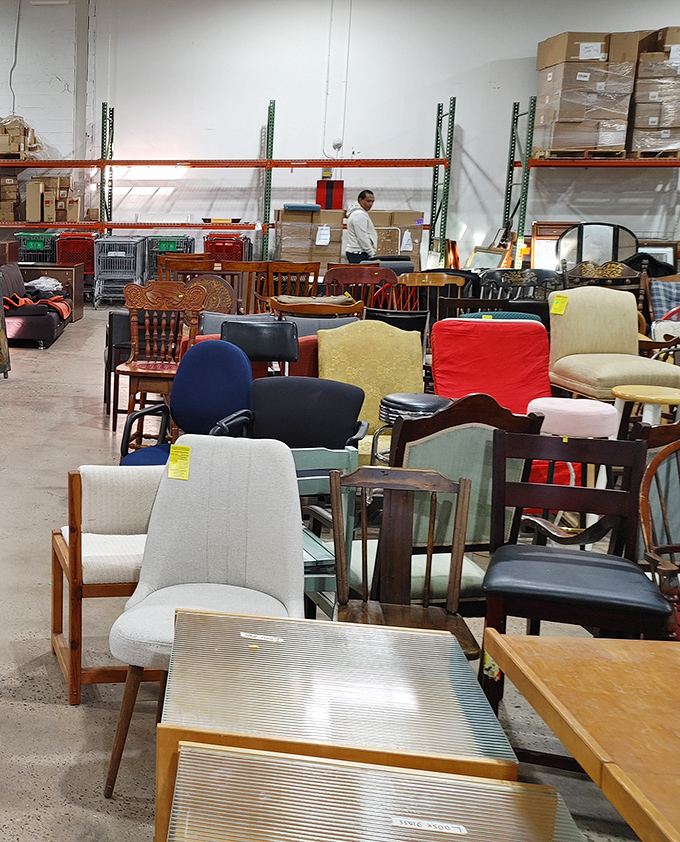 A forest of chairs awaits adoption&mdash;each with character and potential, like supporting actors ready for their starring role.