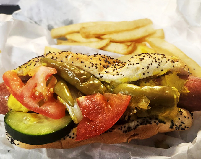 Behold the Chicago-style hot dog in all its glory—a symphony of toppings nestled in a poppy seed bun, demanding both hands and several napkins.