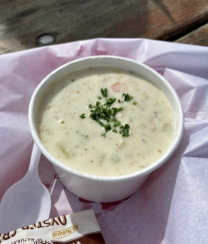 The legendary clam chowder arrives like a creamy cloud of seafood perfection, with fresh herbs adding the final touch to this coastal masterpiece.