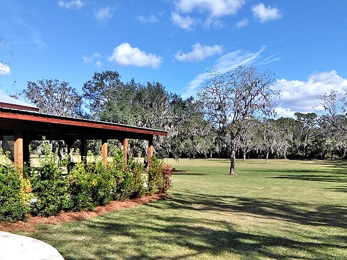 Under Spanish moss and blue skies, this peaceful pavilion offers shade and serenity&mdash;the kind of spot where Sunday afternoons stretch deliciously into evening.