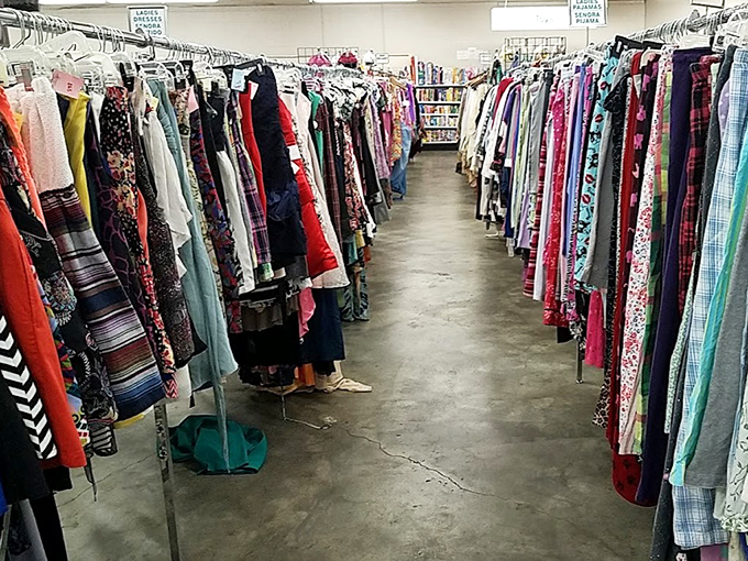 Fashion democracy in action&mdash;designer labels mingle with everyday basics, no judgment, no velvet ropes, just possibilities hanging by the hundreds.
