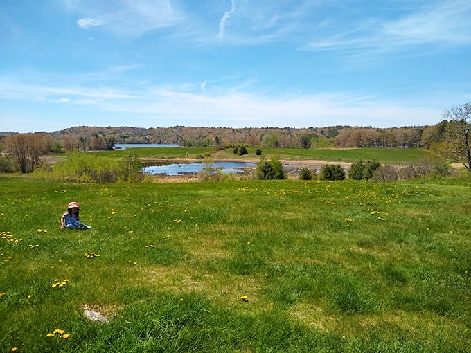 Maine's version of heaven &ndash; where wildflowers dot emerald fields and the water sparkles like it's showing off just for you.