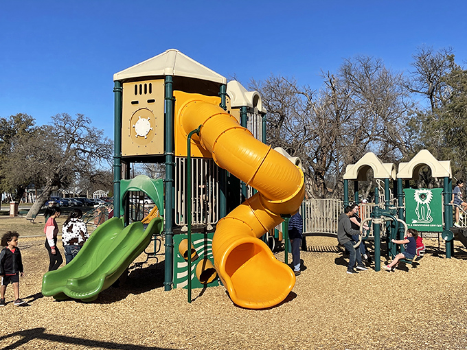 Coggin Park's playground proves that sometimes the best entertainment doesn't require downloading an app or charging a battery.