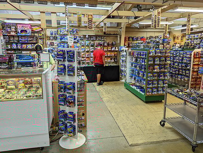 Hot Wheels heaven! This collector's paradise showcases meticulously organized toy cars that transport grown men back to childhood faster than a DeLorean at 88 mph.