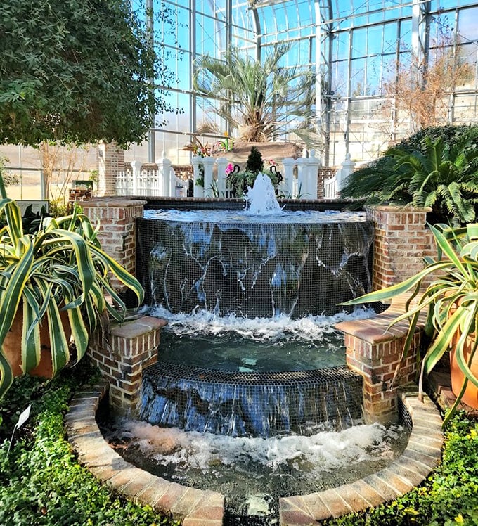Inside the conservatory, a waterfall cascades year-round, providing Nebraska's answer to tropical vacation envy.
