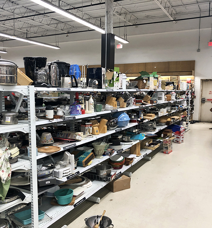Kitchen gadget heaven awaits culinary explorers&mdash;spot that perfect pasta pot your grandmother swore made better spaghetti.