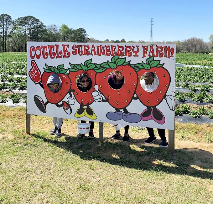 Photo ops don't get fresher than this! The farm's charming cutout board transforms visitors into walking, talking strawberry mascots.