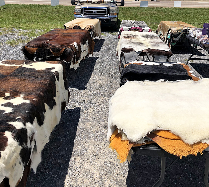 These cowhide rugs aren't just country decor; they're conversation pieces waiting to transform your living room into a proper Oklahoma statement.