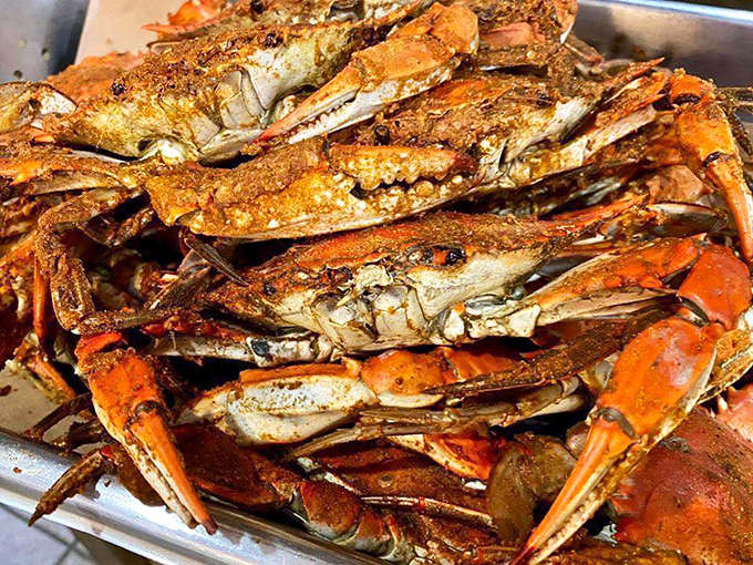 Steamed crabs piled high and dusted with seasoning so generous, you'll understand why Marylanders get protective about their traditions.