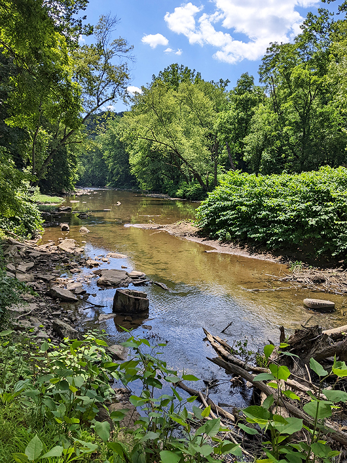 Little Beaver Creek meanders through the park like nature's own lazy river. Clear enough to count pebbles, peaceful enough to reset your soul.