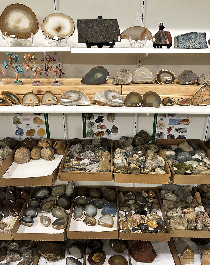 A geologist's dream or a decorator's secret weapon? These agate slices and mineral specimens bring nature's art indoors.