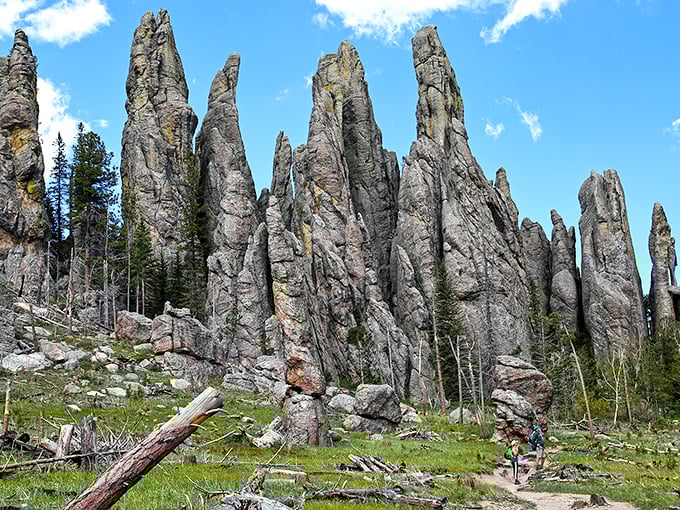 The Cathedral Spires reach skyward like nature's own Gothic architecture, granite fingers that make you understand why they named this paradise. 