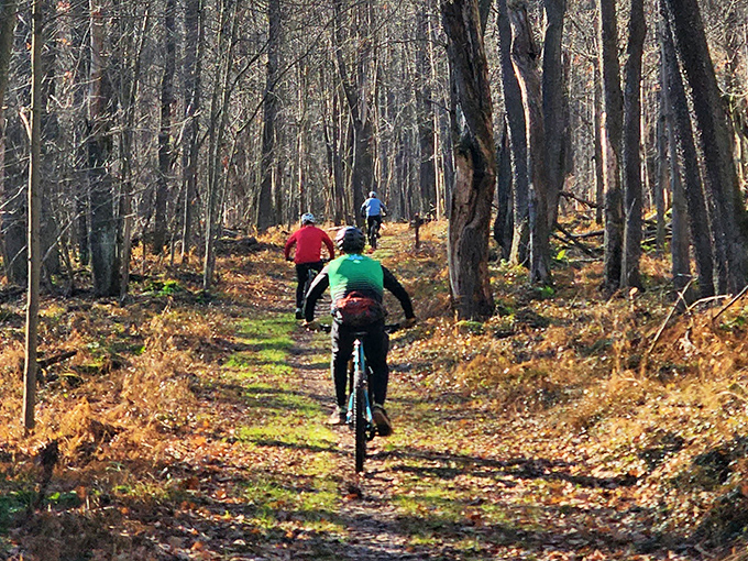 Two-wheeled tranquility seekers find their bliss. These forest trails offer the perfect combination of gentle challenge and soul-soothing scenery.