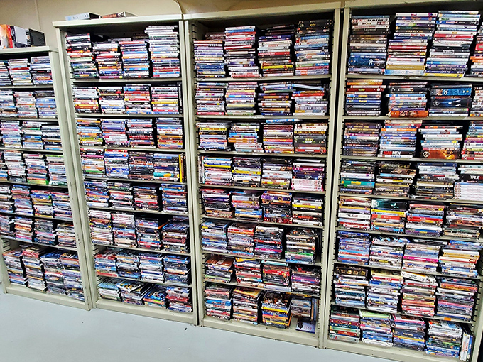 DVD heaven awaits movie buffs with shelves packed tighter than a Hollywood premiere. Your next weekend marathon is hiding somewhere in this celluloid forest.