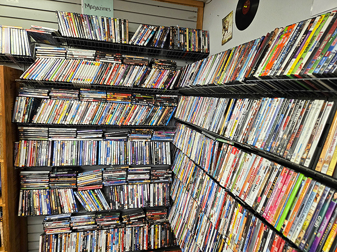 DVD heaven for physical media devotees. In an age of streaming, this wall of cinematic history feels like a rebellious act of analog preservation.