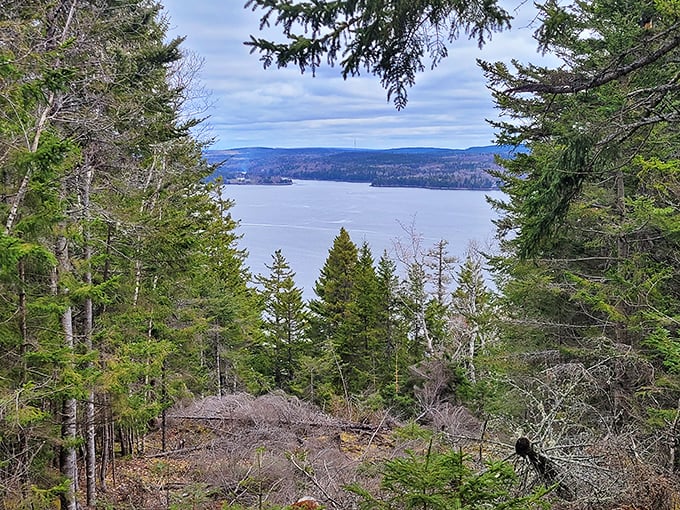 The view from Devil's Head offers a breathtaking panorama of the St. Croix River &ndash; nature's version of a wide-screen TV, but with better programming.