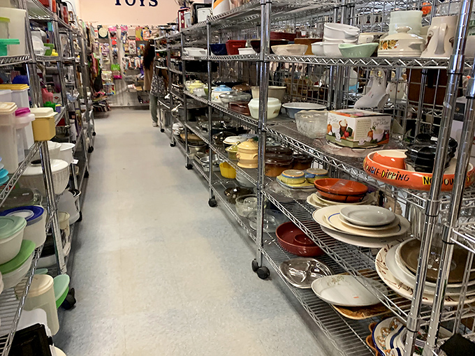 Dishware stacked like edible archaeology&mdash;someone's wedding china becomes your Tuesday taco night upgrade without the guilt.