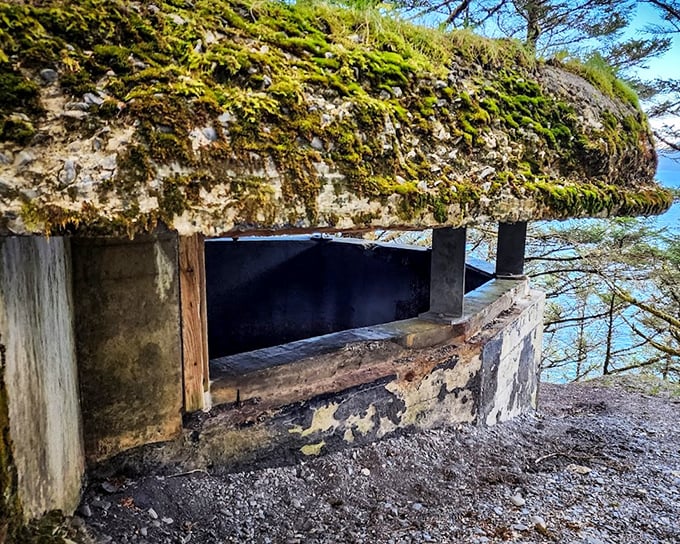 Mother Nature's green cathedral: This moss-covered bunker has been reclaimed by the wilderness, creating an eerie yet beautiful marriage of military history and natural growth.