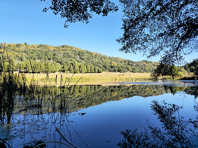 Doane Pond's mirror-like surface captures the surrounding forest in perfect reflection. Thoreau would have written an entire chapter about this tranquil spot.