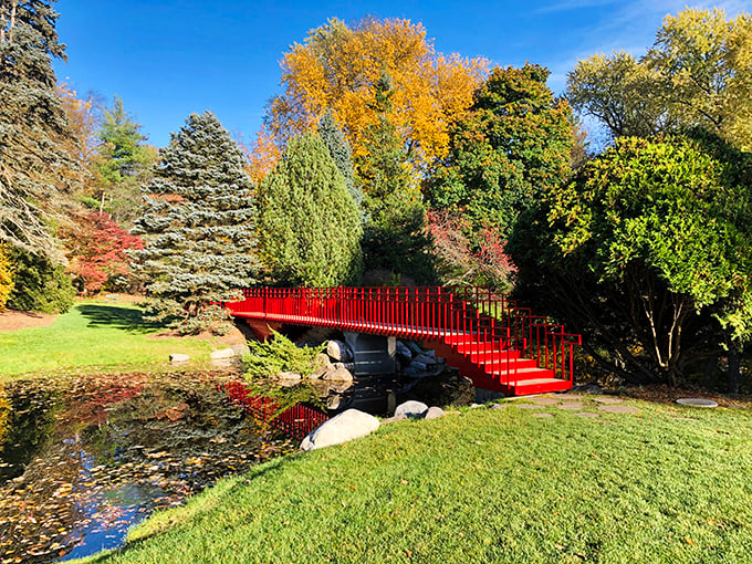 This vibrant red bridge in Dow Gardens isn't just a way to cross water&mdash;it's a portal between garden rooms that makes you feel like you've stepped into a living painting.