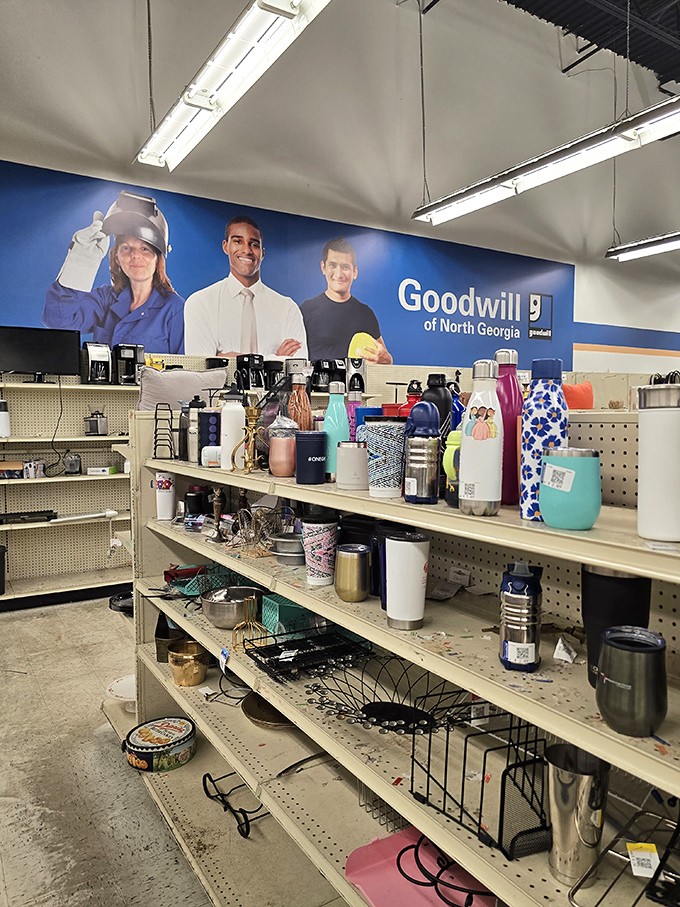Travel mugs and water bottles stand at attention like soldiers of hydration, each with its own personality and previous life.