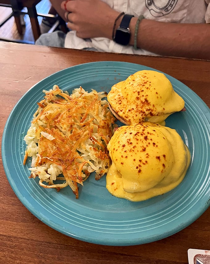 Golden hollandaise cascades over perfectly poached eggs while those hash browns provide the crispy supporting act every great breakfast needs.