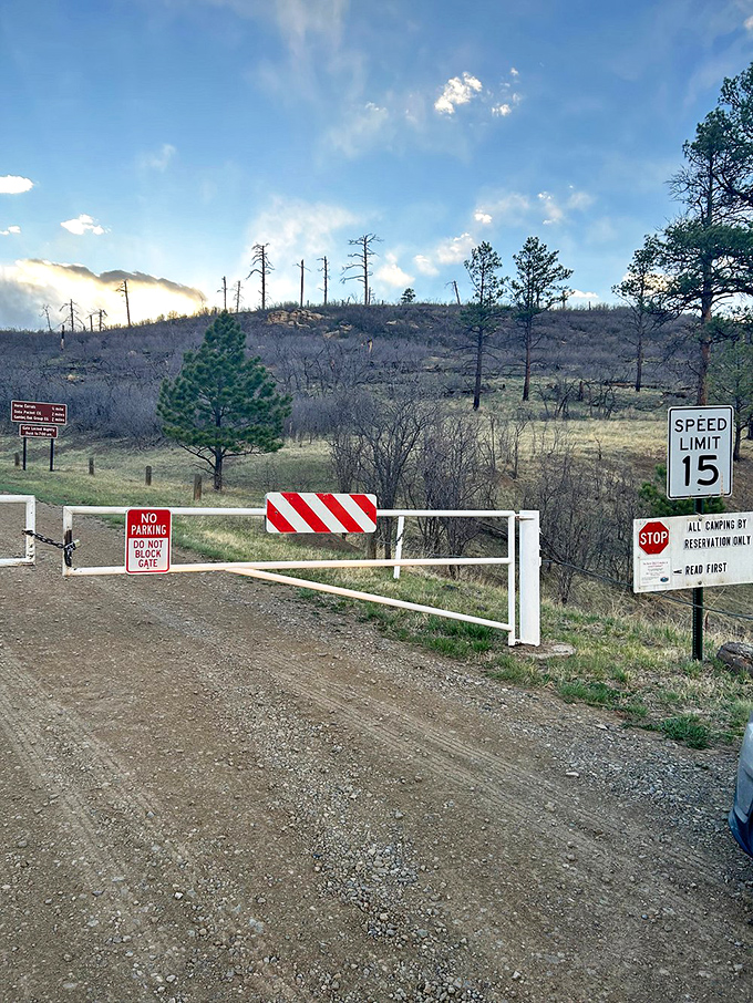 The entrance gate says "stop," but everything beyond it screams "come explore!" Nature's version of playing hard to get.