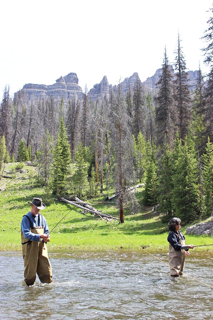 Fly fishing beneath the Absarokas where the scenery competes with the trout for your attention and usually wins by knockout. 